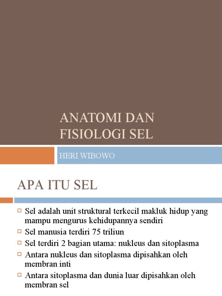 Anatomi Sel | PDF
