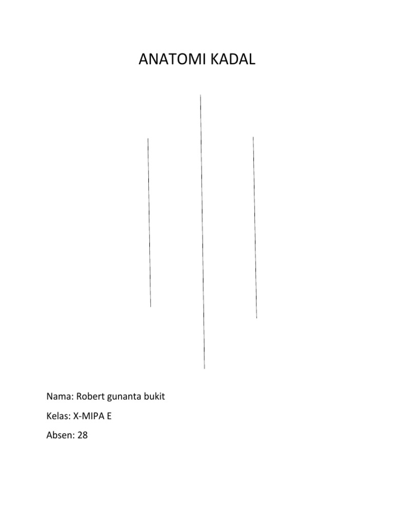 Anatomi Kadal | PDF