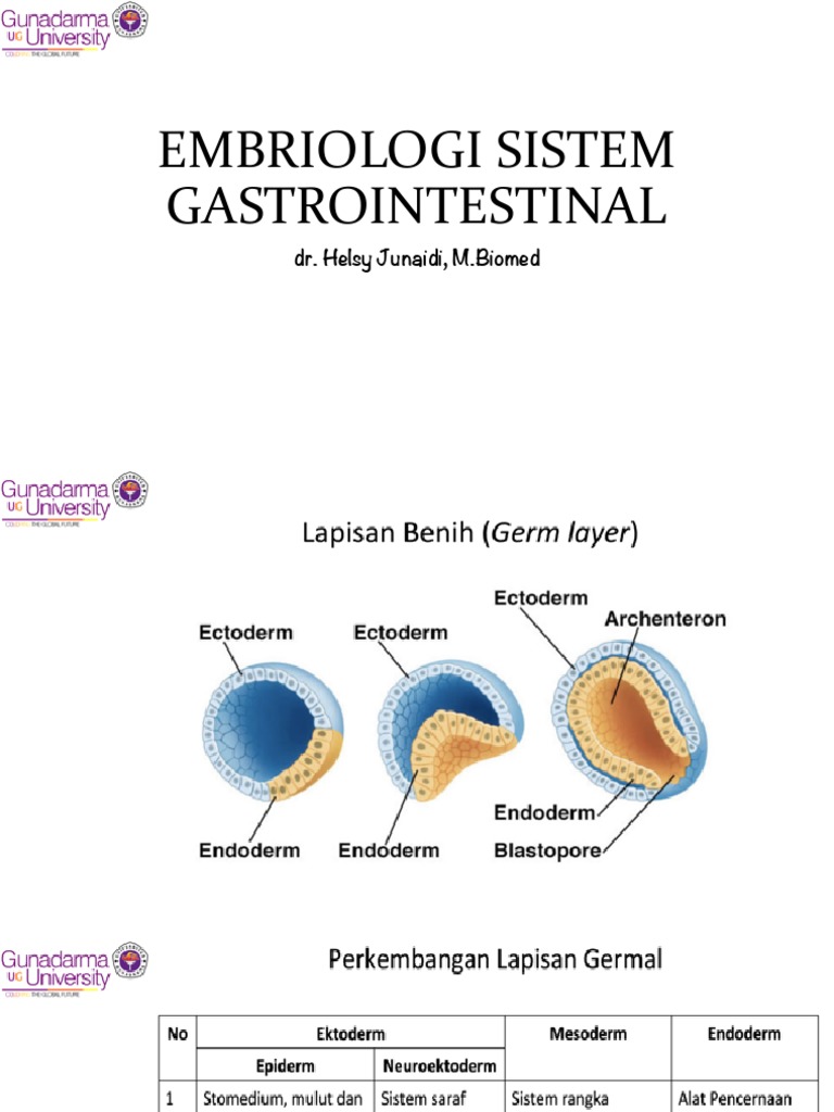 Embriologi Sistem | PDF