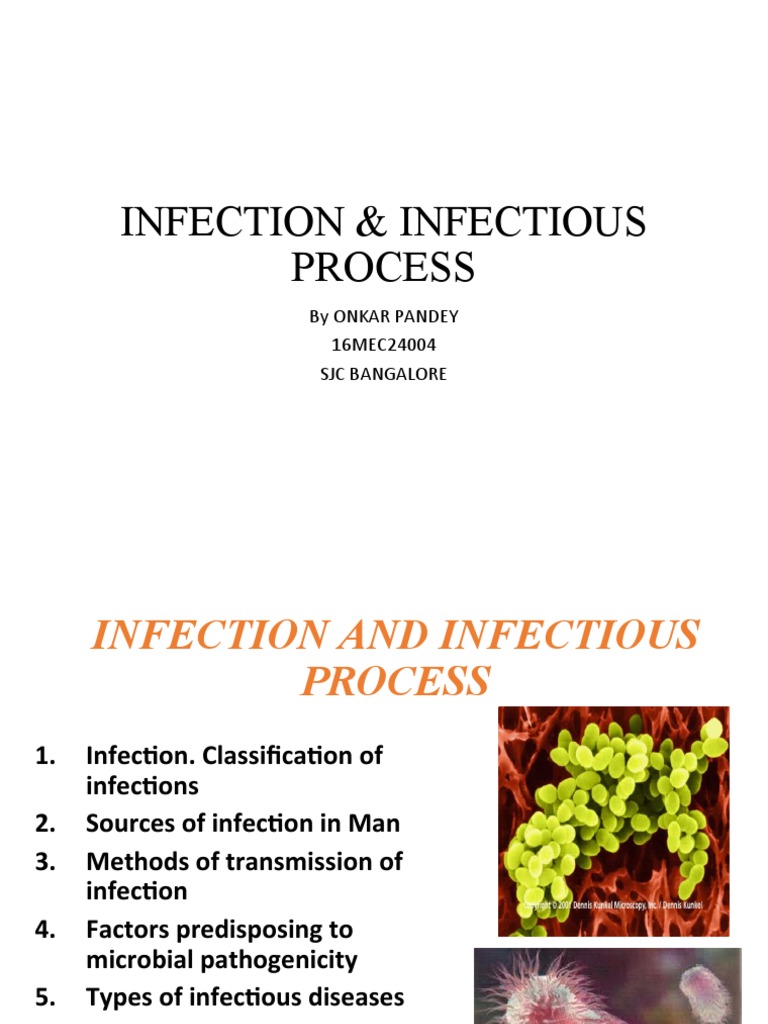 Infection and Infectious Processes Overview | PDF | Transmission ...