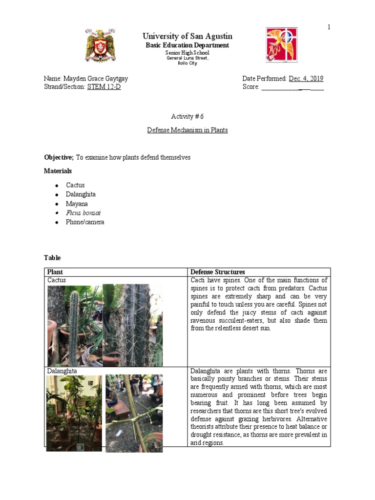University of San Agustin: Basic Education Department | PDF | Herbivore ...