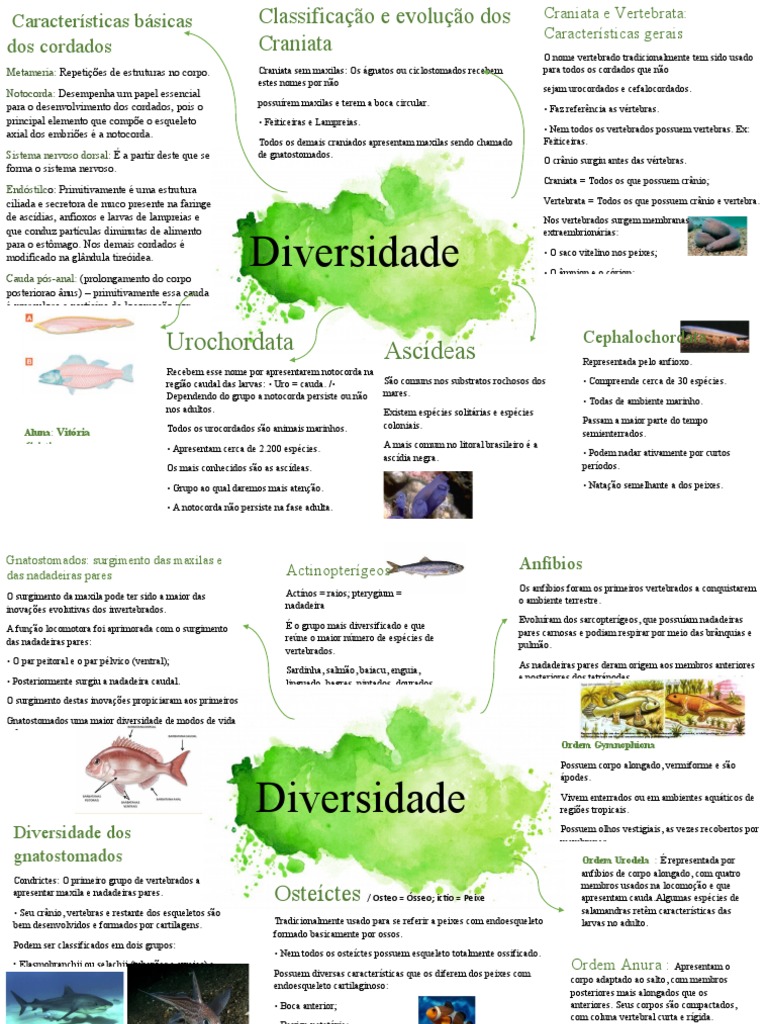 BIOLOGIA | PDF | Vertebrados | Cordados