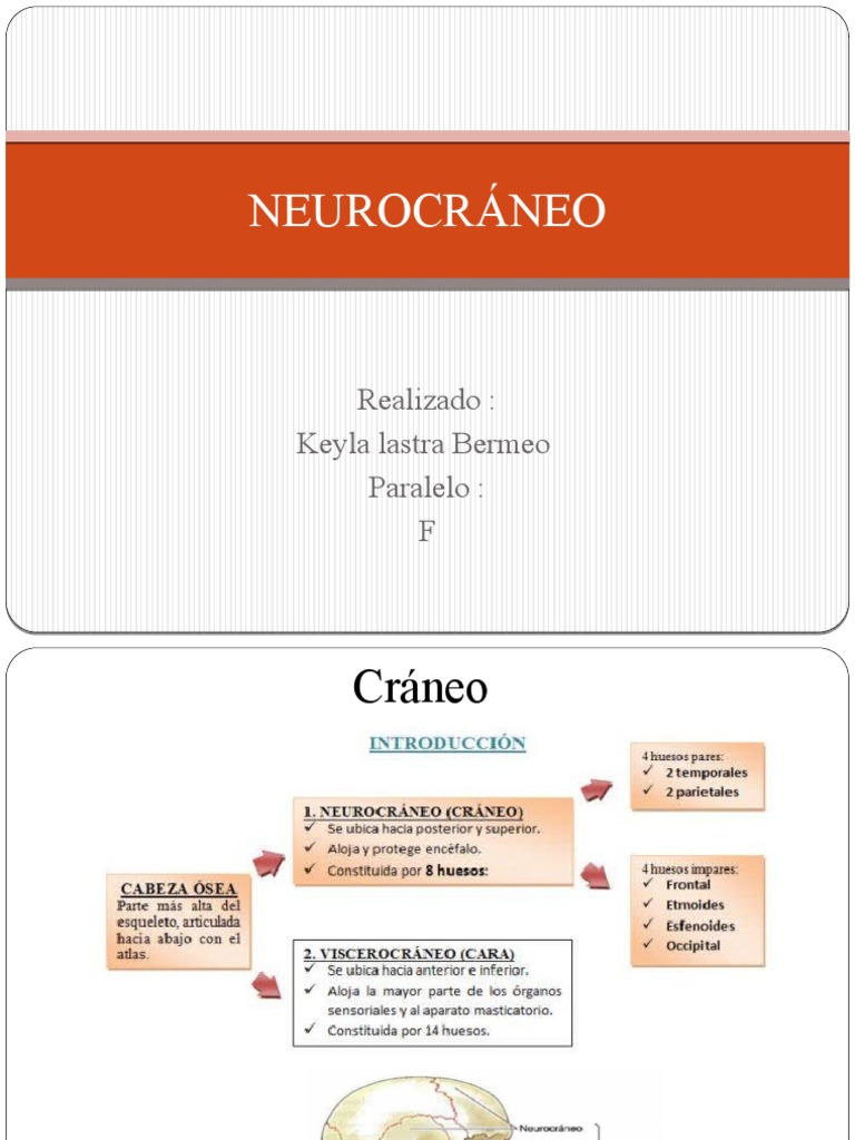 Neurocraneo Presentacion | PDF