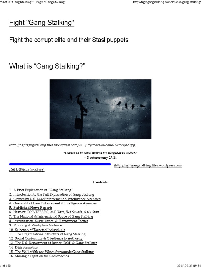 Understanding Gang Stalking Tactics | PDF | Stalking | Counterintelligence