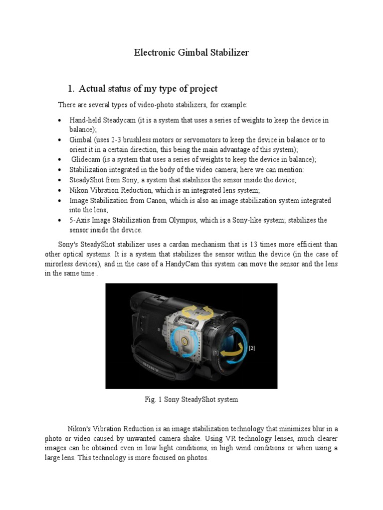 Electronic Stabilizer | PDF | Image Stabilization | Equipment