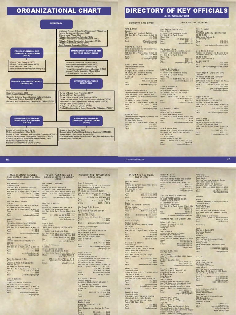 DTI Organizational Chart Overview | PDF