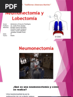 Posición de Roser o Proetz | PDF | Inflamación | Biología Celular)