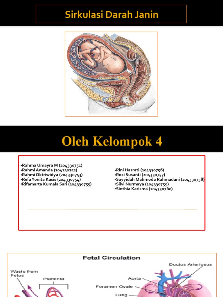 Sirkulasi Darah Janin Kel 4 | PDF
