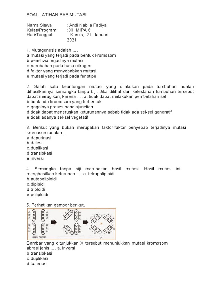 Soal Latihan Bab Mutasi Semester 2 | PDF