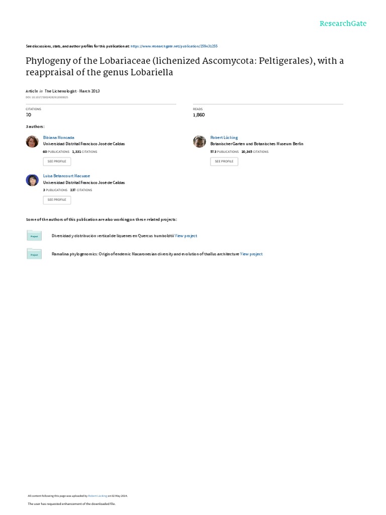 Filogenia de Lobariaceae | PDF | Molecular Phylogenetics | Polymerase ...