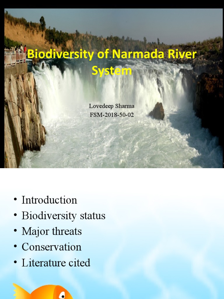 Narmada River System | PDF | Physical Geography | Fish
