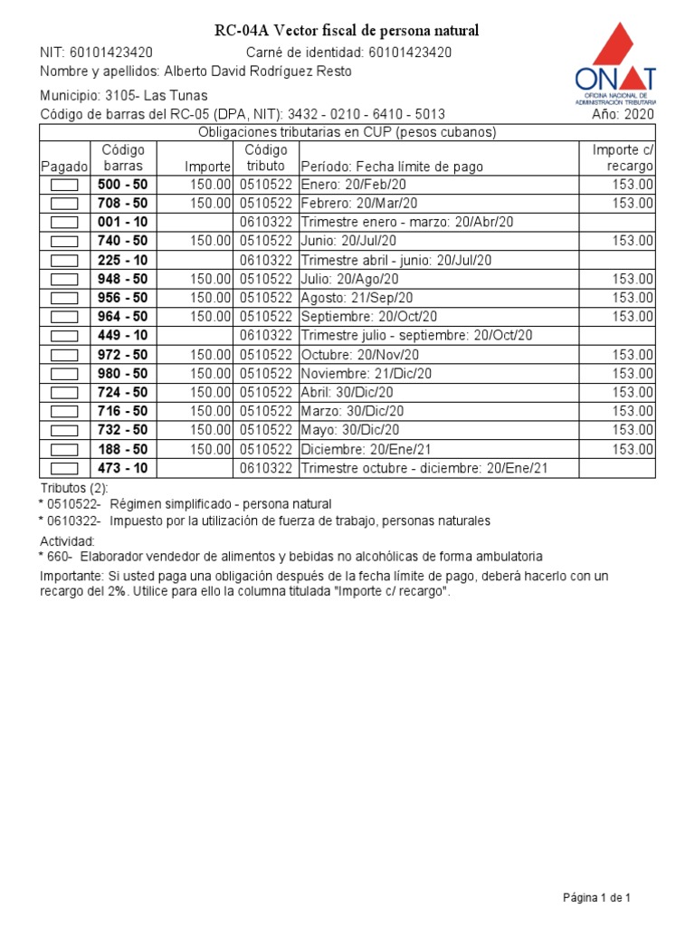 RC-04A Vector Fiscal de Persona Natural | PDF | Business