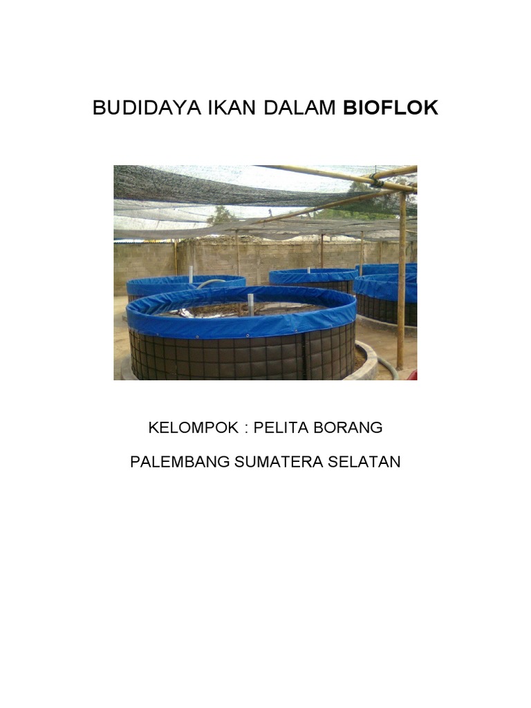 Budidaya Ikan Dalam Bioflok 111 | PDF