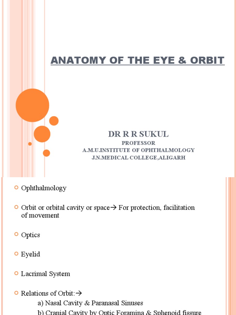 Anatomy of the Eye and Orbit Overview | PDF | Skeletal System | Anatomy