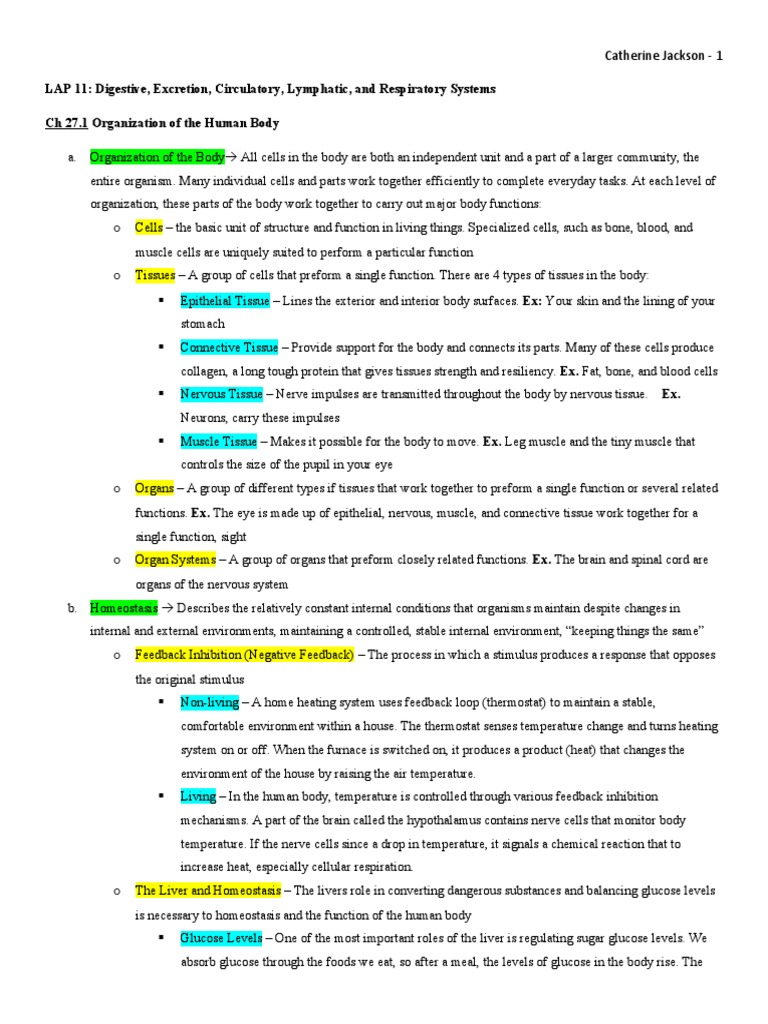 Digestive, Excretion, Circulatory, Lymphatic, and Respiratory Systems ...