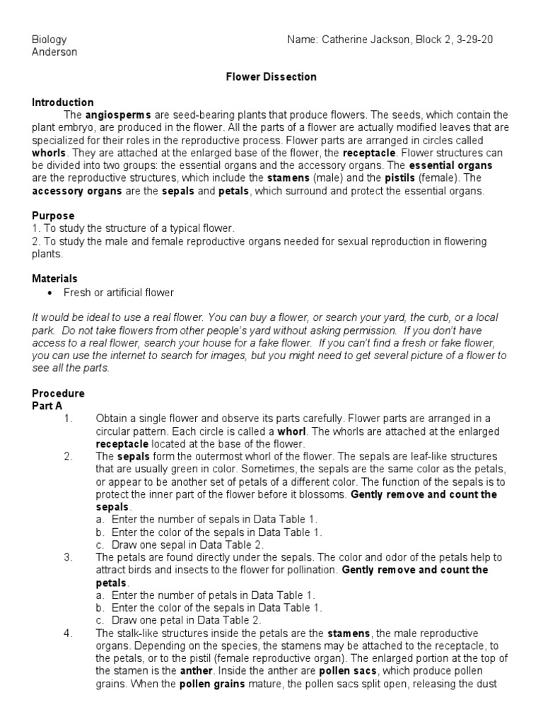 Flower Dissection LAB | Download Free PDF | Petal | Flowers