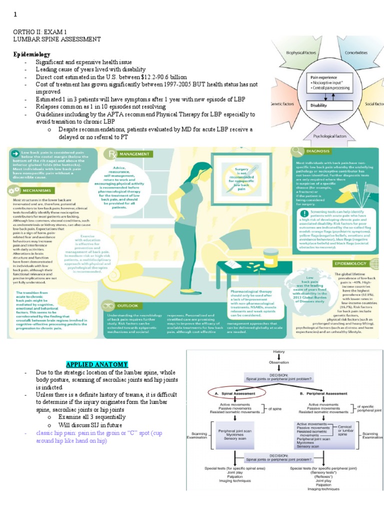 Orthopedic Assessment of The Lumbar Spine | PDF | Vertebral Column | Pelvis