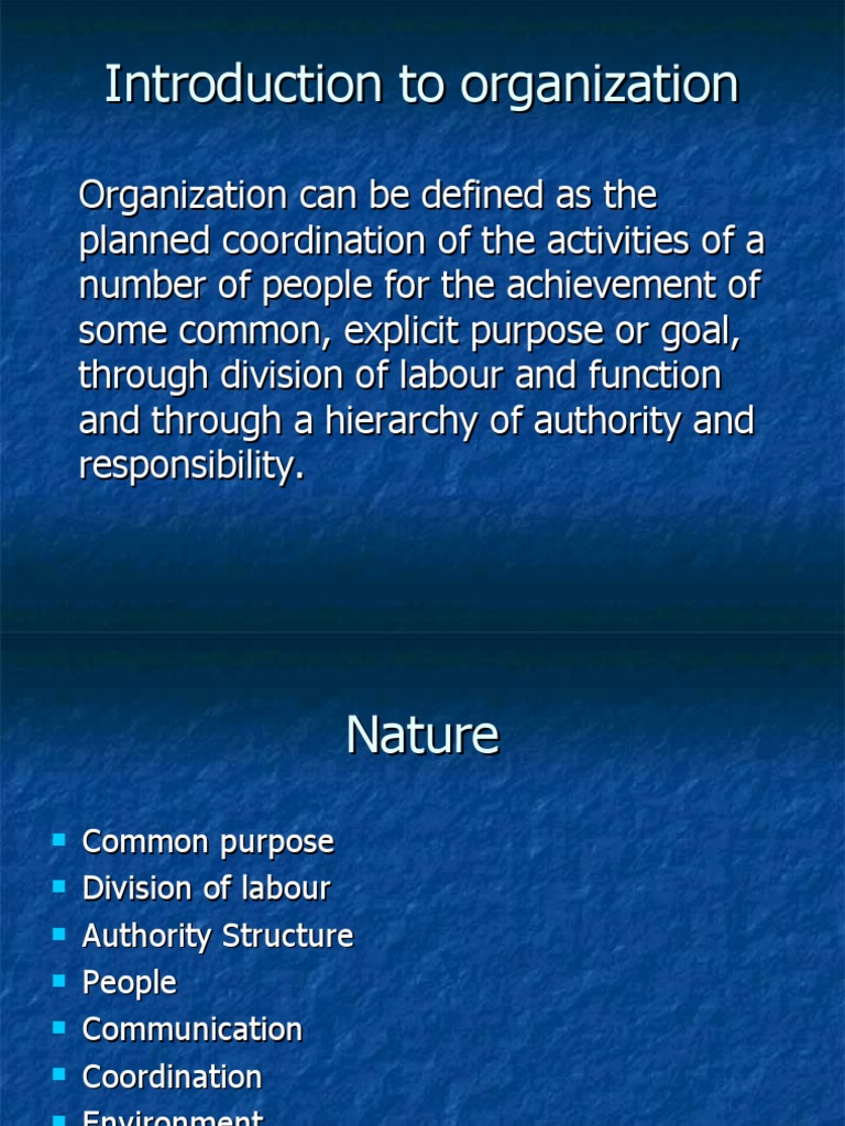 Organization Stucture | PDF | Organizational Structure | Economies