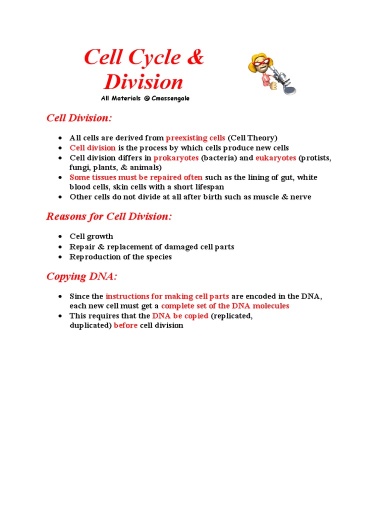 Cell Cycle & Division | PDF | Meiosis | Mitosis