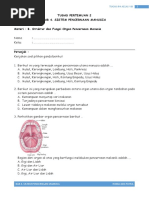 Latihan Soal Sistem Pencernaan Manusia Kelas 8 | PDF | Kesehatan Holistik