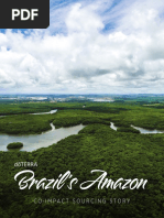Amazon Rainforest Map | PDF