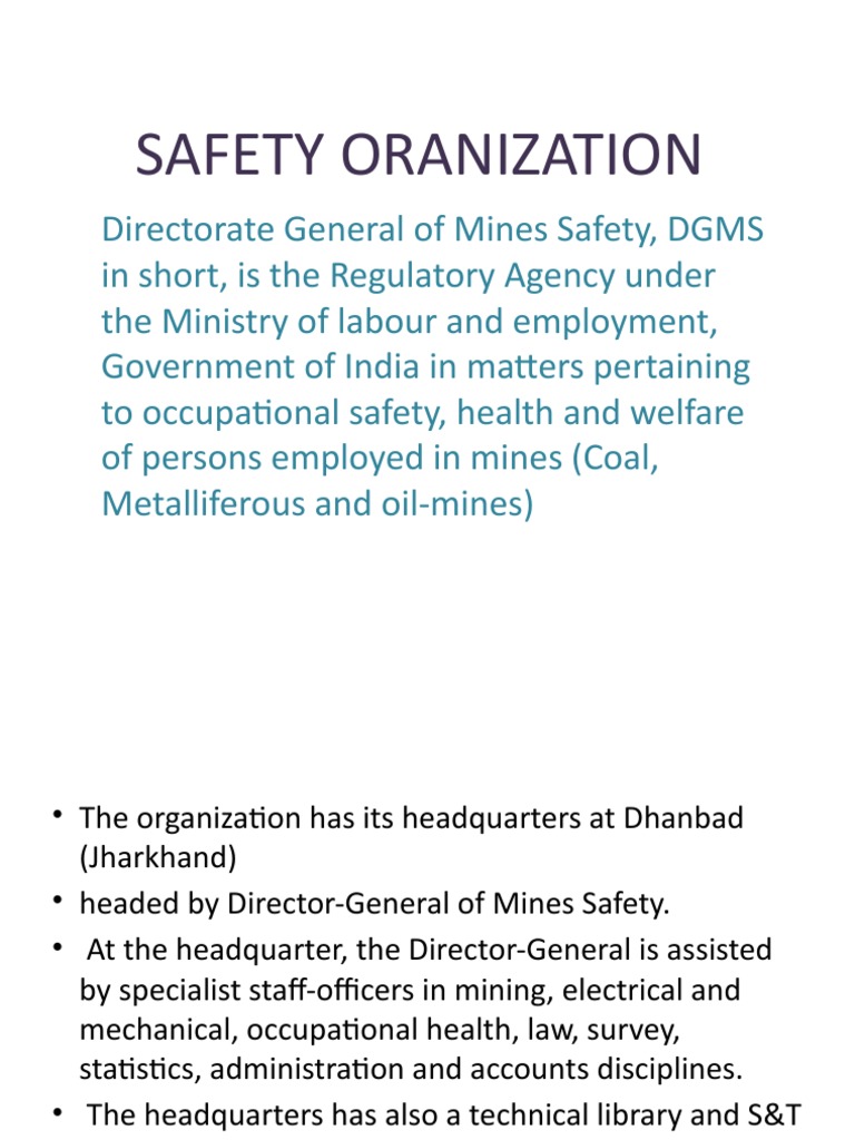 Safety Organisation | PDF | Occupational Safety And Health | Safety