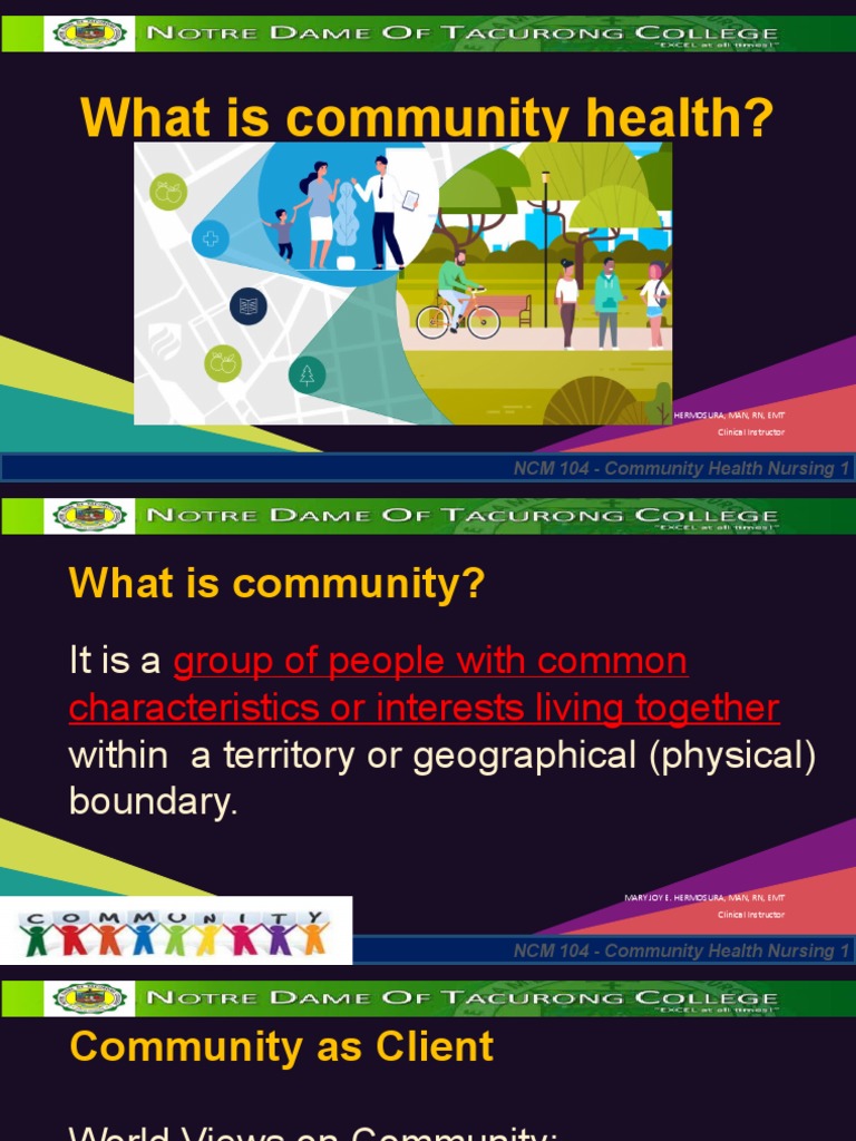Introduction to Community Health Nursing | PDF | Nursing | Hospice