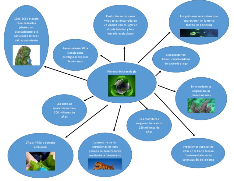 Mapa Mental de La Historia de La Ecologia Edwin | PDF | Cianobacterias | Evolución