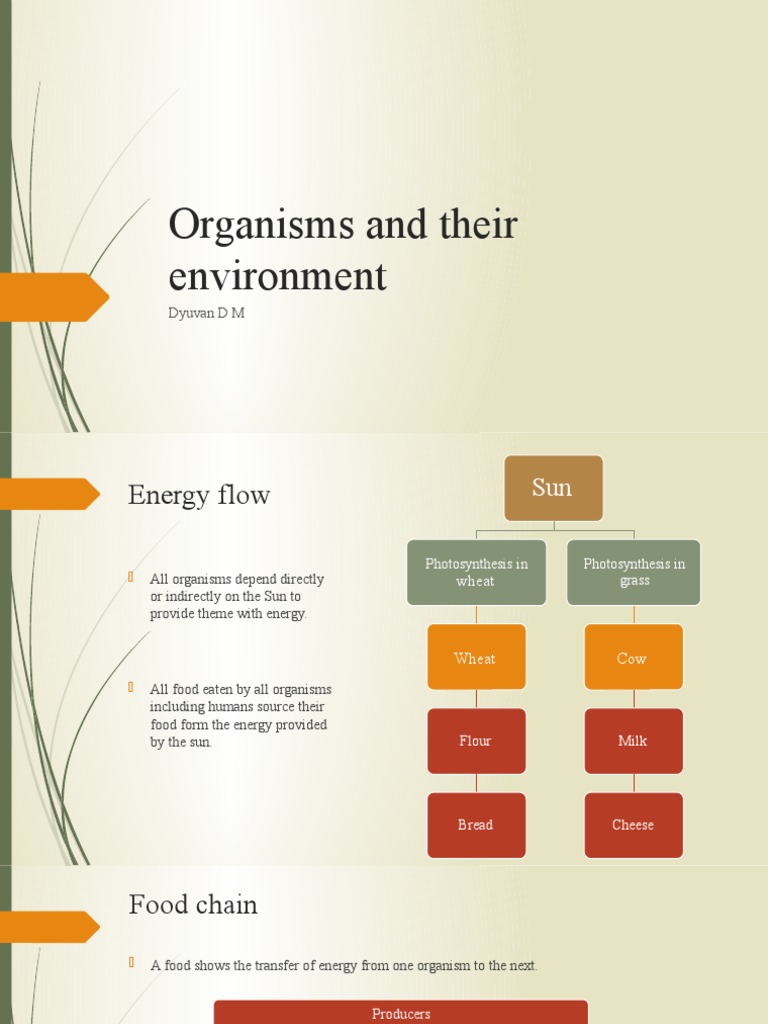 Organisms and Their Environment | PDF | Food Web | Ecosystem