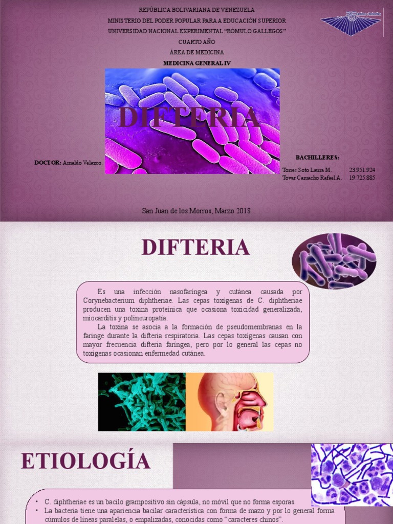 Difteria Grupo B | PDF | Inmunología | Especialidades Medicas