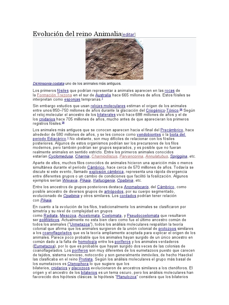 Evolución de los Animales: Orígenes y Clados | PDF | Taxa | Protostomas