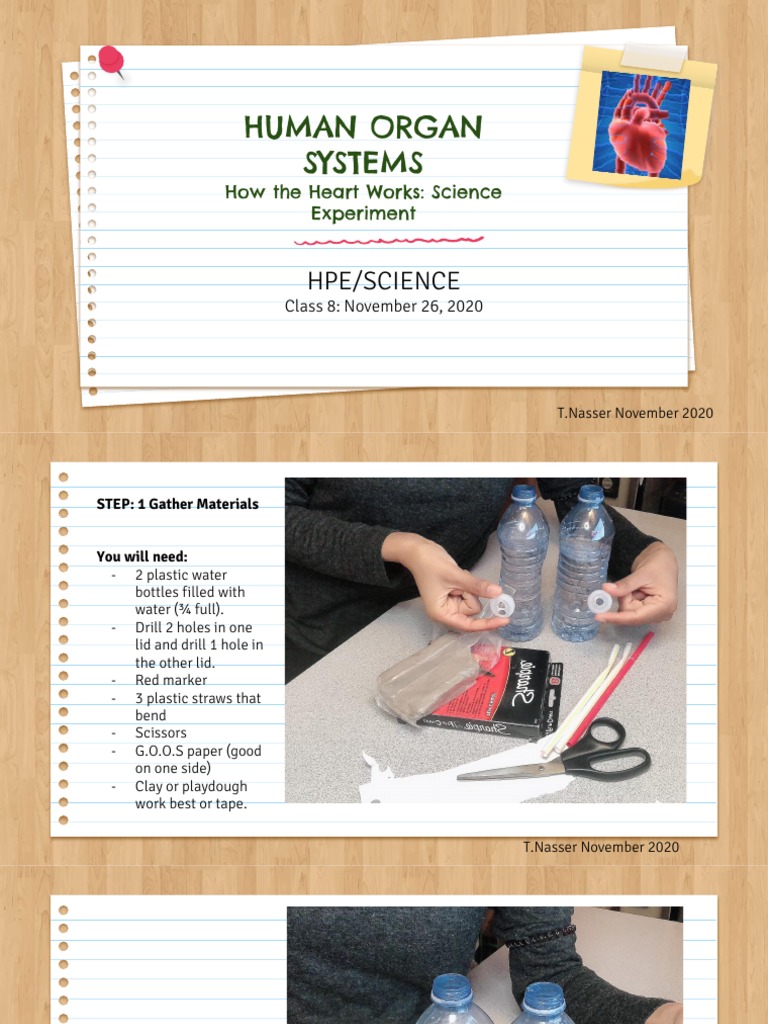 Science Experiment How The Heart Works | PDF | Home & Garden | Art