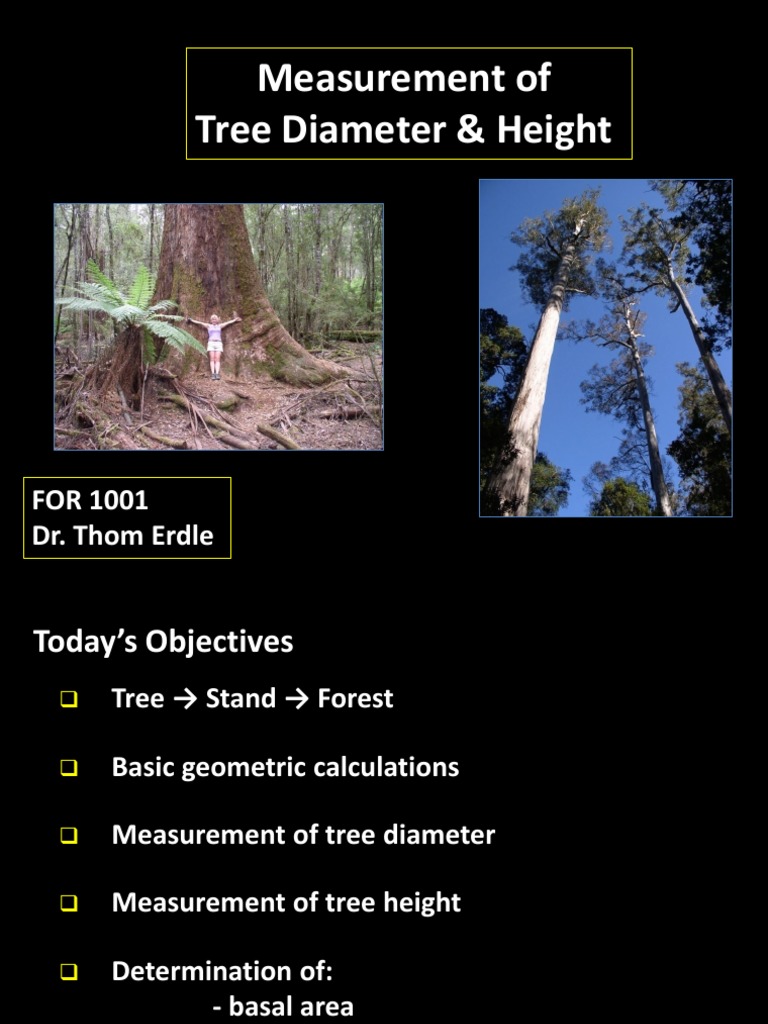Measurement of Tree Diameter & Height: FOR 1001 Dr. Thom Erdle | PDF ...