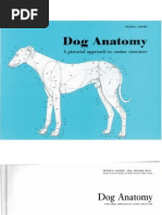Dog Anatomy and Dissection Guide | PDF