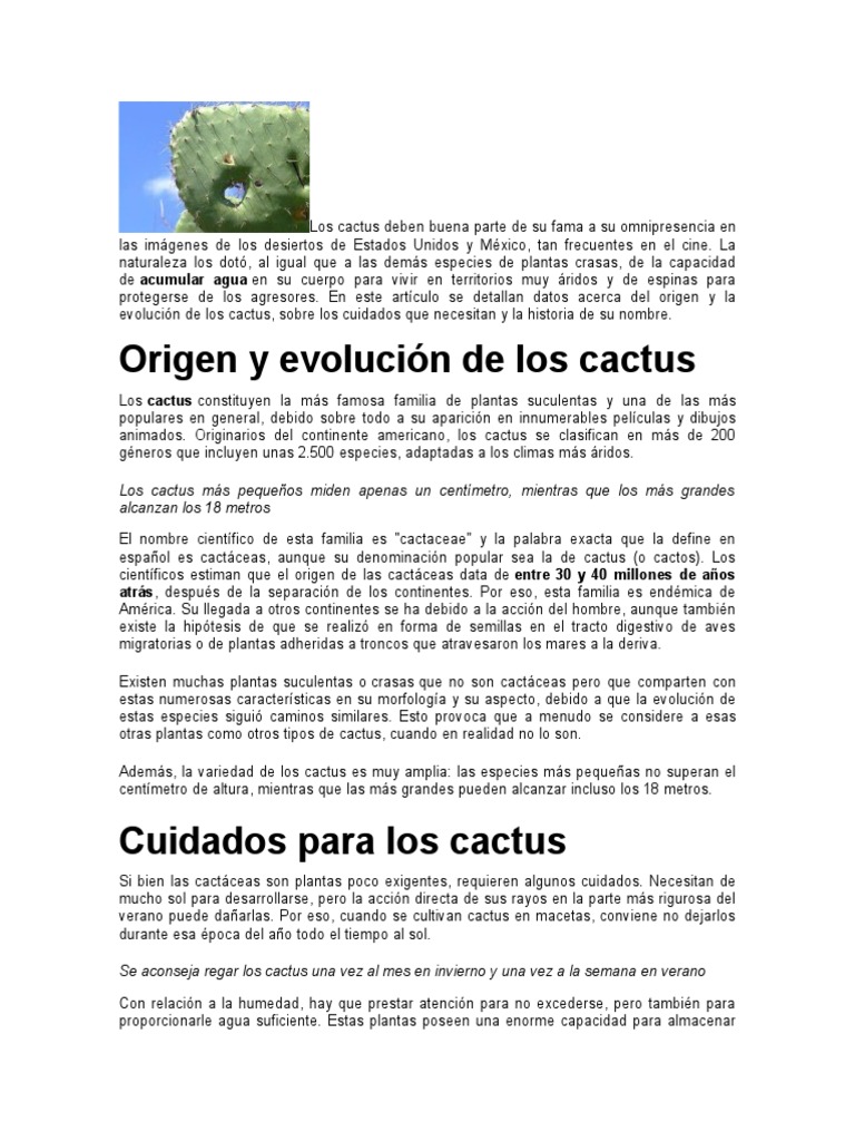 Cactus | PDF | Plantas | Organismos