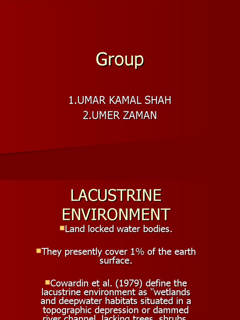 Lacustrine Environment | PDF | Lake | Sedimentary Rock
