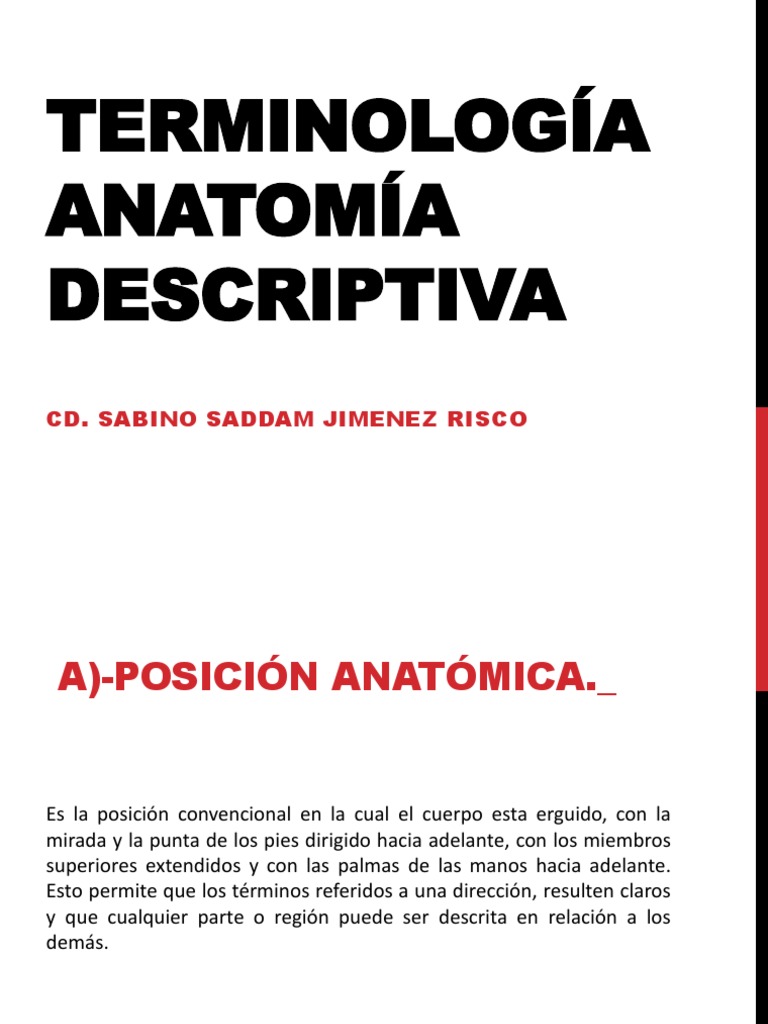 Sesion 2 Terminologia Anatomia Descriptiva | PDF | Términos anatómicos ...