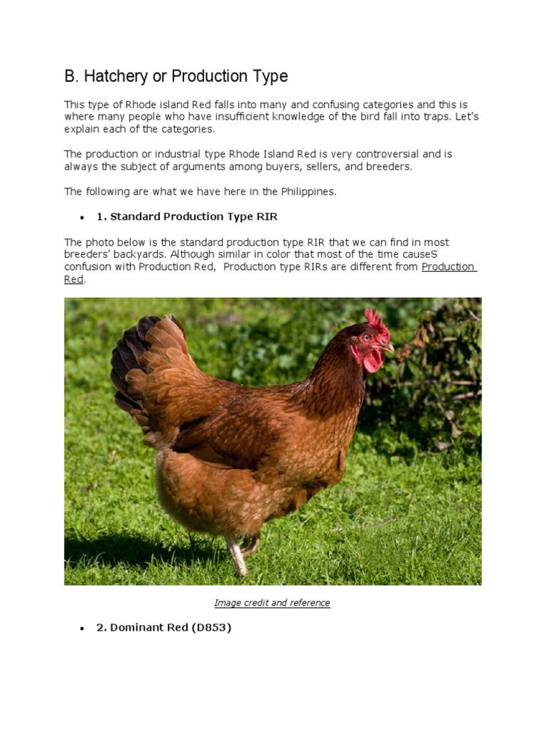 B. Hatchery or Production Type | PDF