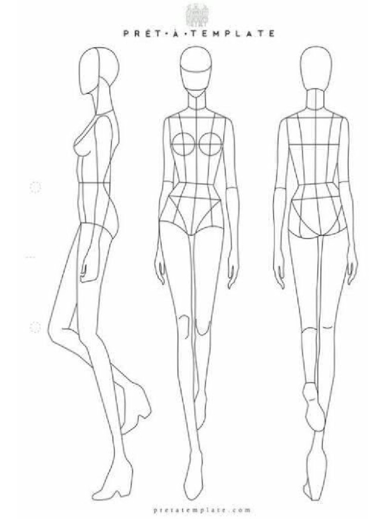 Proporsi Tubuh | PDF