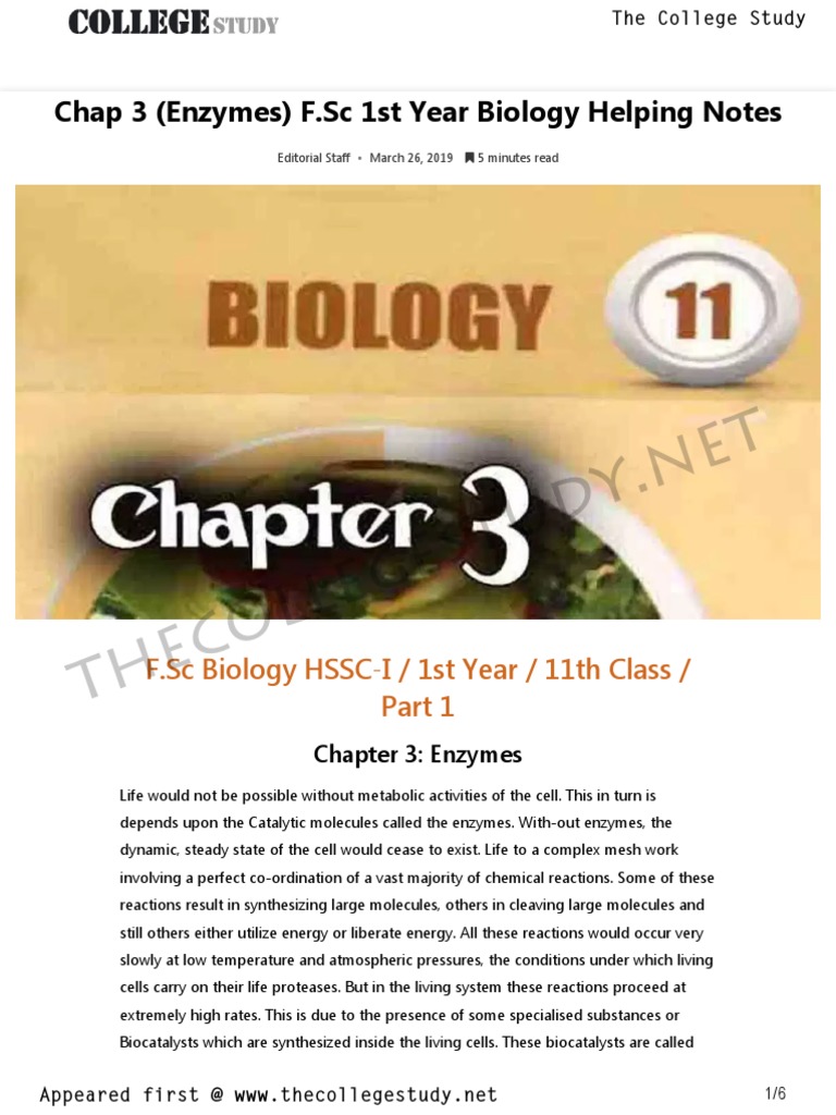10 Chap 3 (Enzymes) F.SC 1st Year Biology Helping Notes | PDF ...