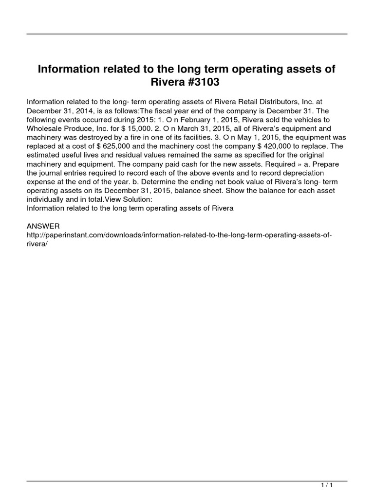 Information Related To The Long Term Operating Assets of Rivera | PDF