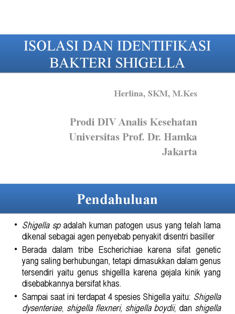 Isolasi Dan Identifikasi Bakteri Shigella | PDF | Gaya Hidup