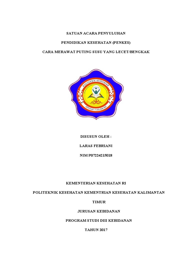 Sap Merawat Puting Lecet | PDF