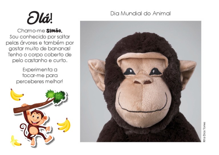 Macaco Simão | PDF | Autoajuda