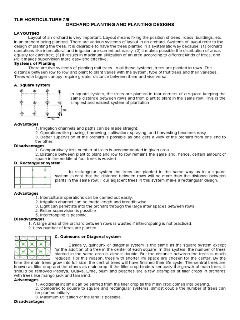 g7 Mini Lesson Horticulture | PDF | Contour Line | Orchard
