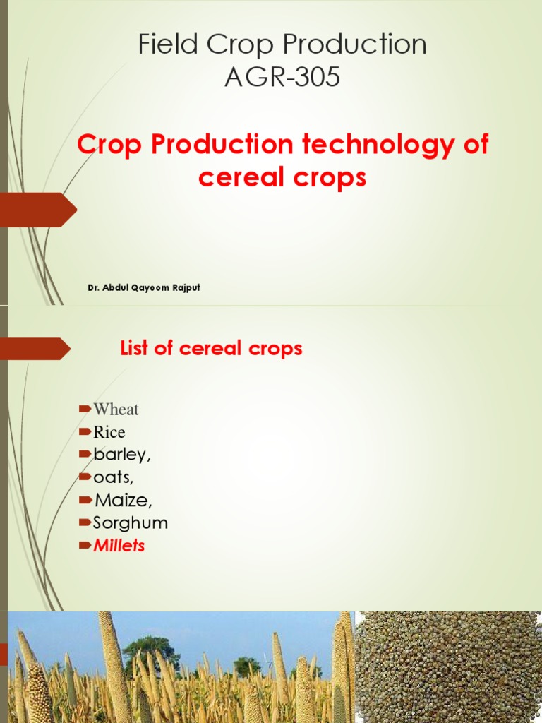 Field Crop Production AGR-305 | PDF