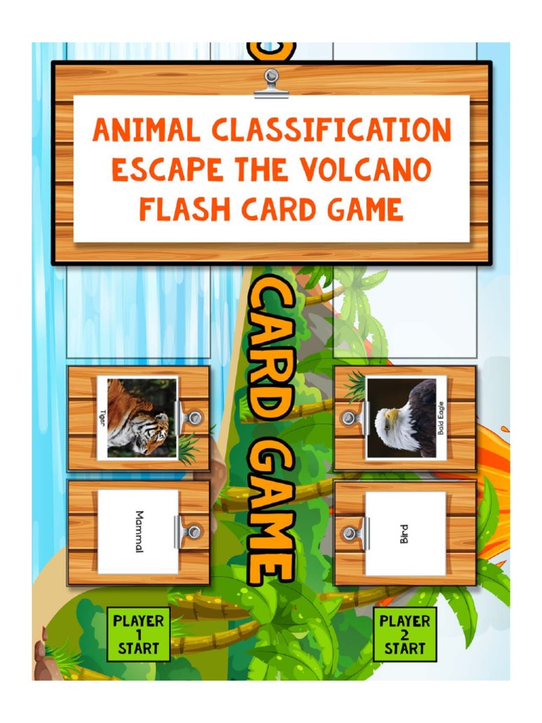 Animal Classification Flash Cards Volcano | PDF | Reptile | Amphibian