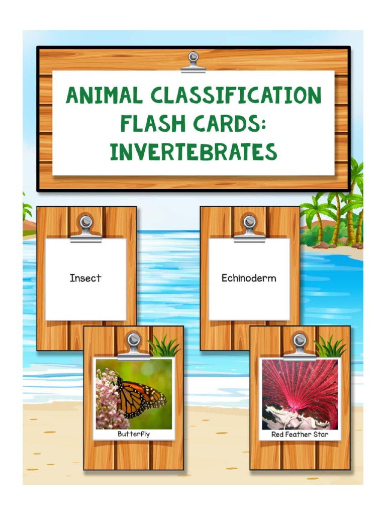 Animal Classification Flash Cards Invertebrates | PDF | Invertebrate ...