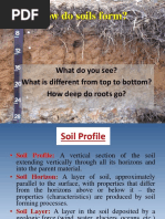 Explaining A Soil Profile Lesson Plan | PDF | Topsoil | Soil