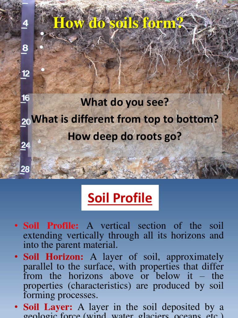 Understanding Soil Formation and Horizons | PDF | Soil | Sedimentology